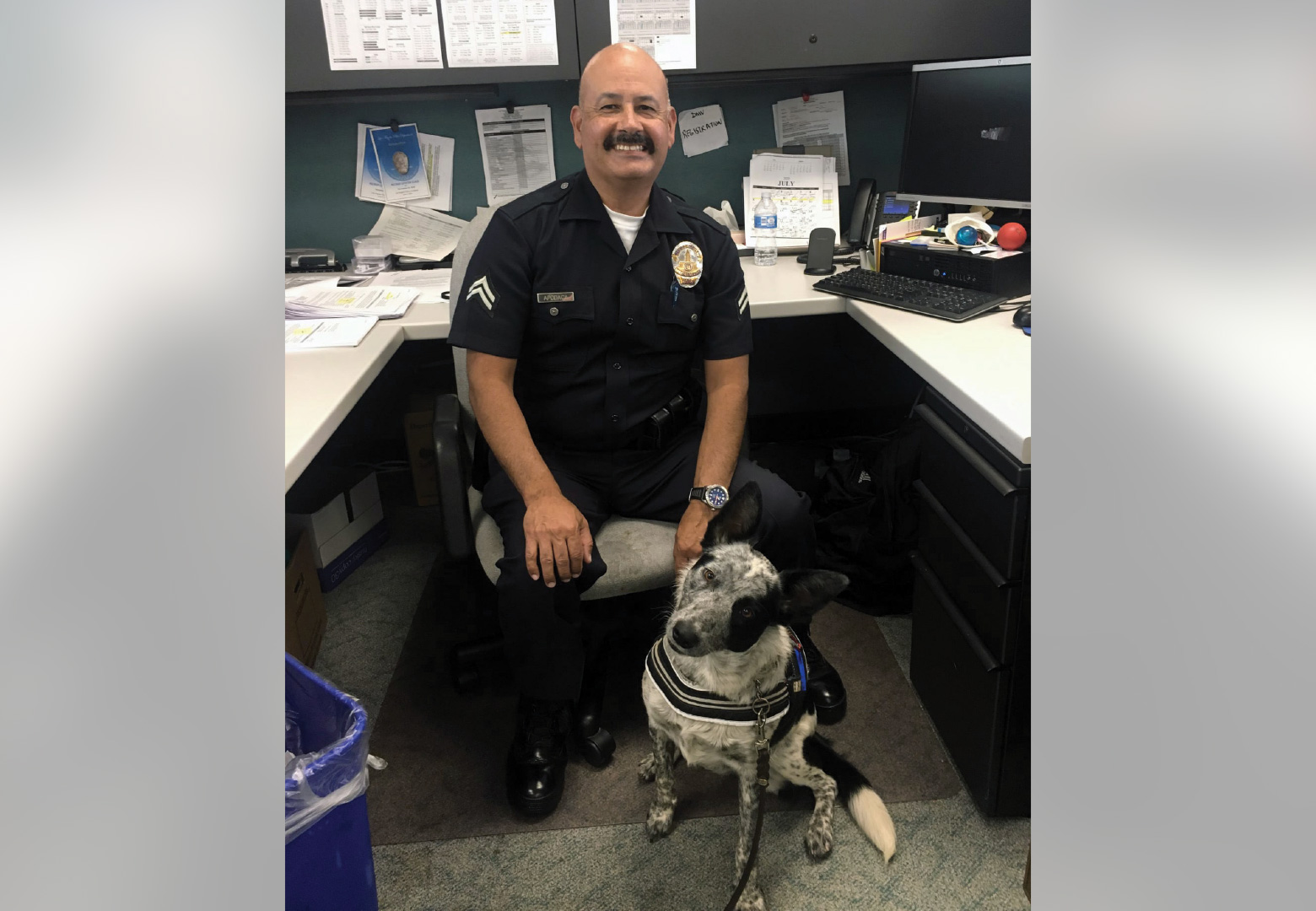 Blue Line Dogs L.A. - Los Angeles Police Reserve Foundation