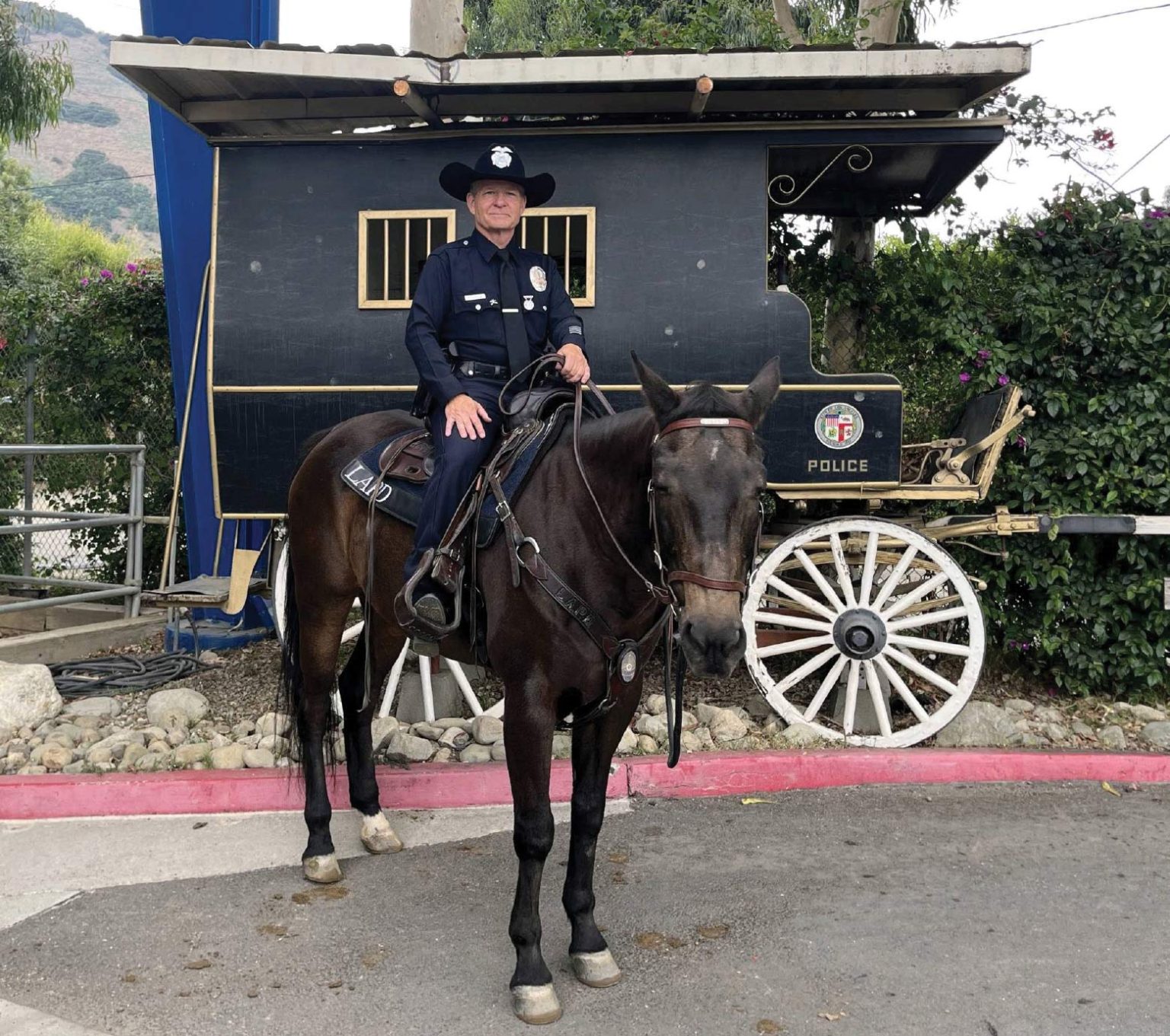LAPD Mounted: A Vital Unit, Supplemented Throughout History and Today ...