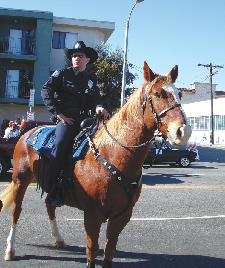 LAPD Reserve Corps: 70+ Years of Protecting and Serving - Los Angeles ...
